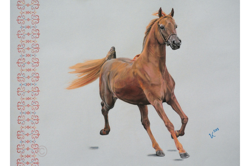 aCrew-Arabian-Copper « Society of Equestrian Artists